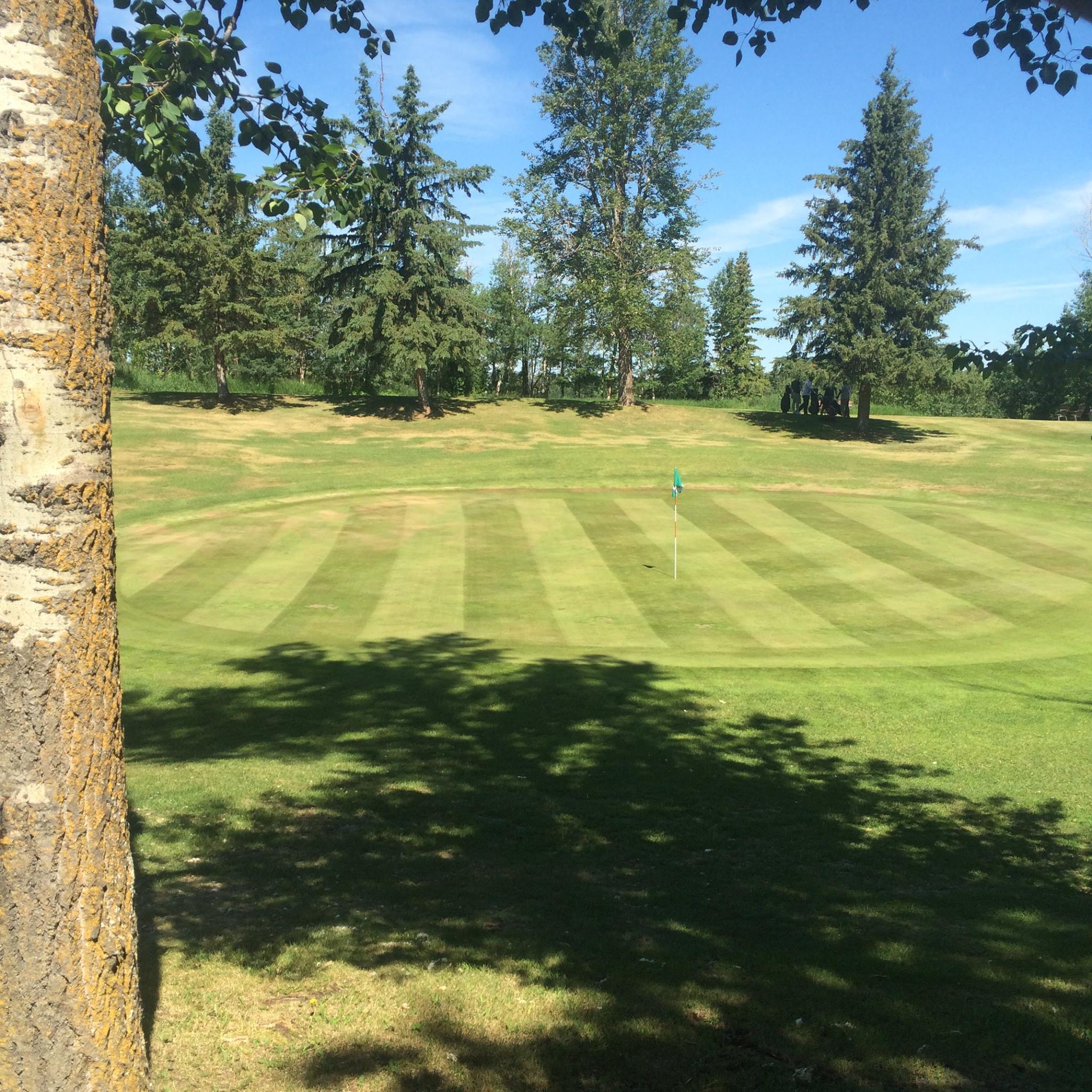 Elk Island Golf Club | UpSwing Golf